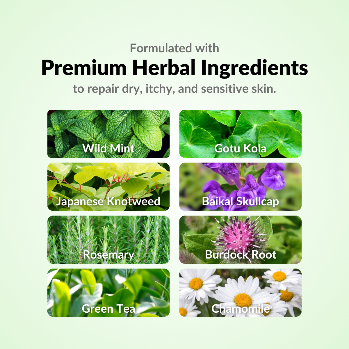 Jolicare Cream - Herbal Repair For Dry Itchy and Sensitive Skin | Baiki ...