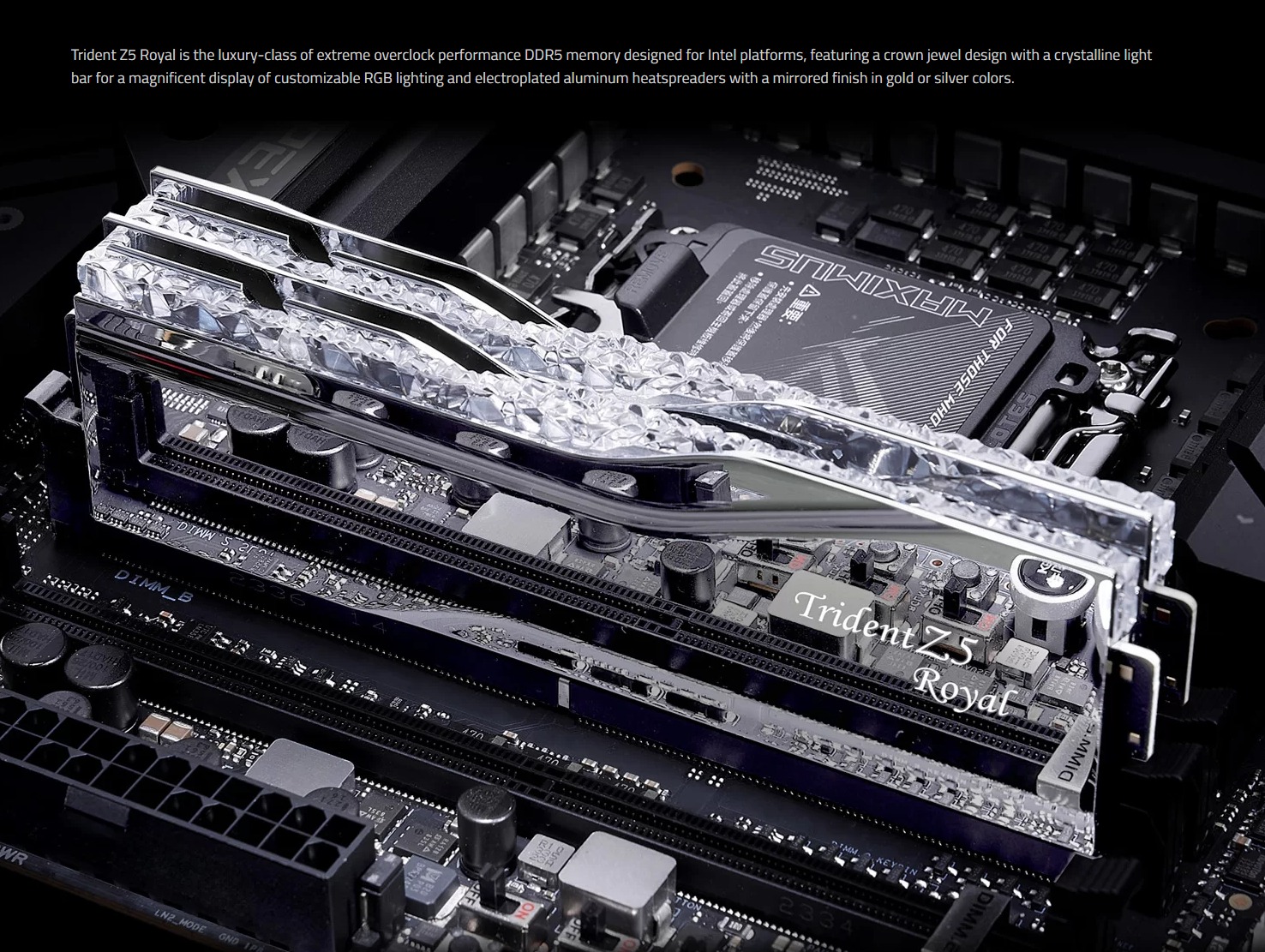 G Skill Trident Z5 Royal Silver DDR5 32GB 7200MHz Desktop Memory RGB ...