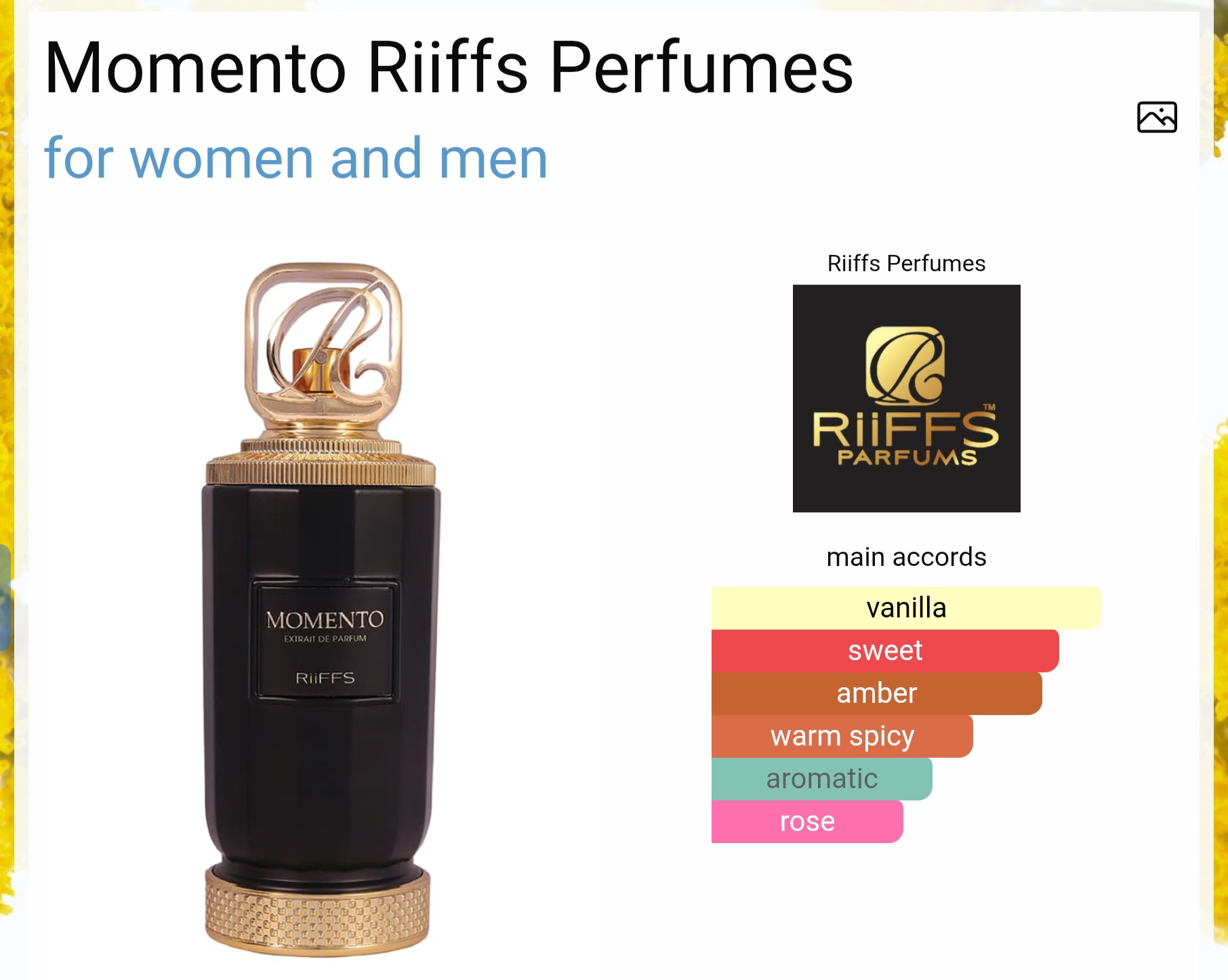 Momento Riiffs Perfumes for women and men perfume from EDP 100% ...
