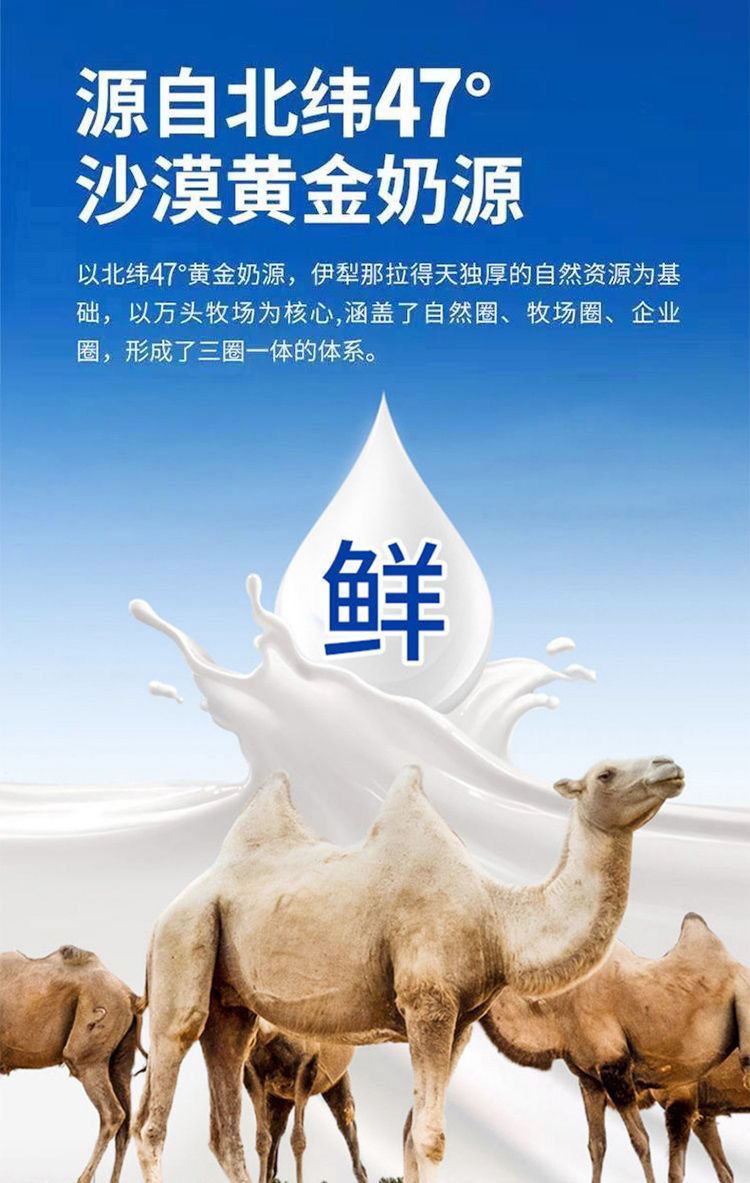 Camel Milk Powder Xinjiang Camel Milk Powder Pure Camel No Sucrose ...