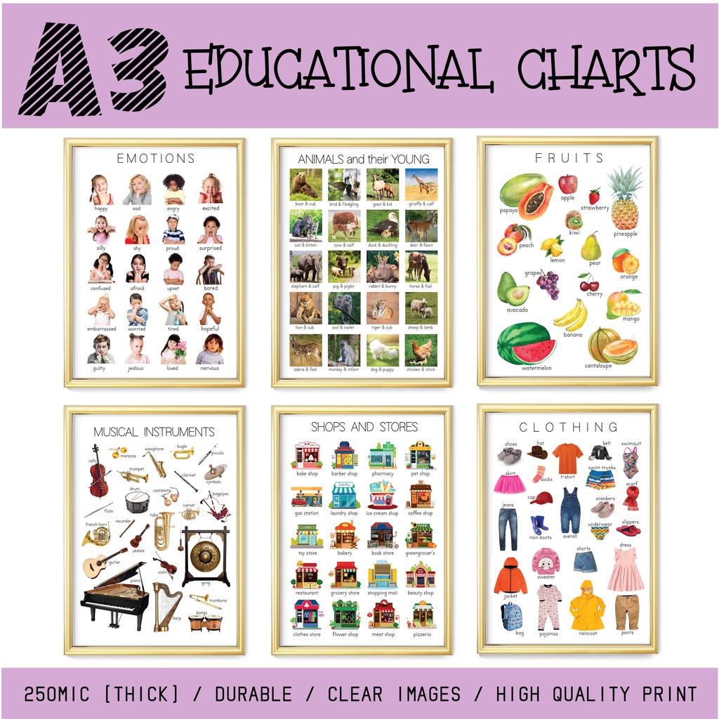 (2of 3) A3 Minimalist Educational Poster | Laminated Learning Chart ...