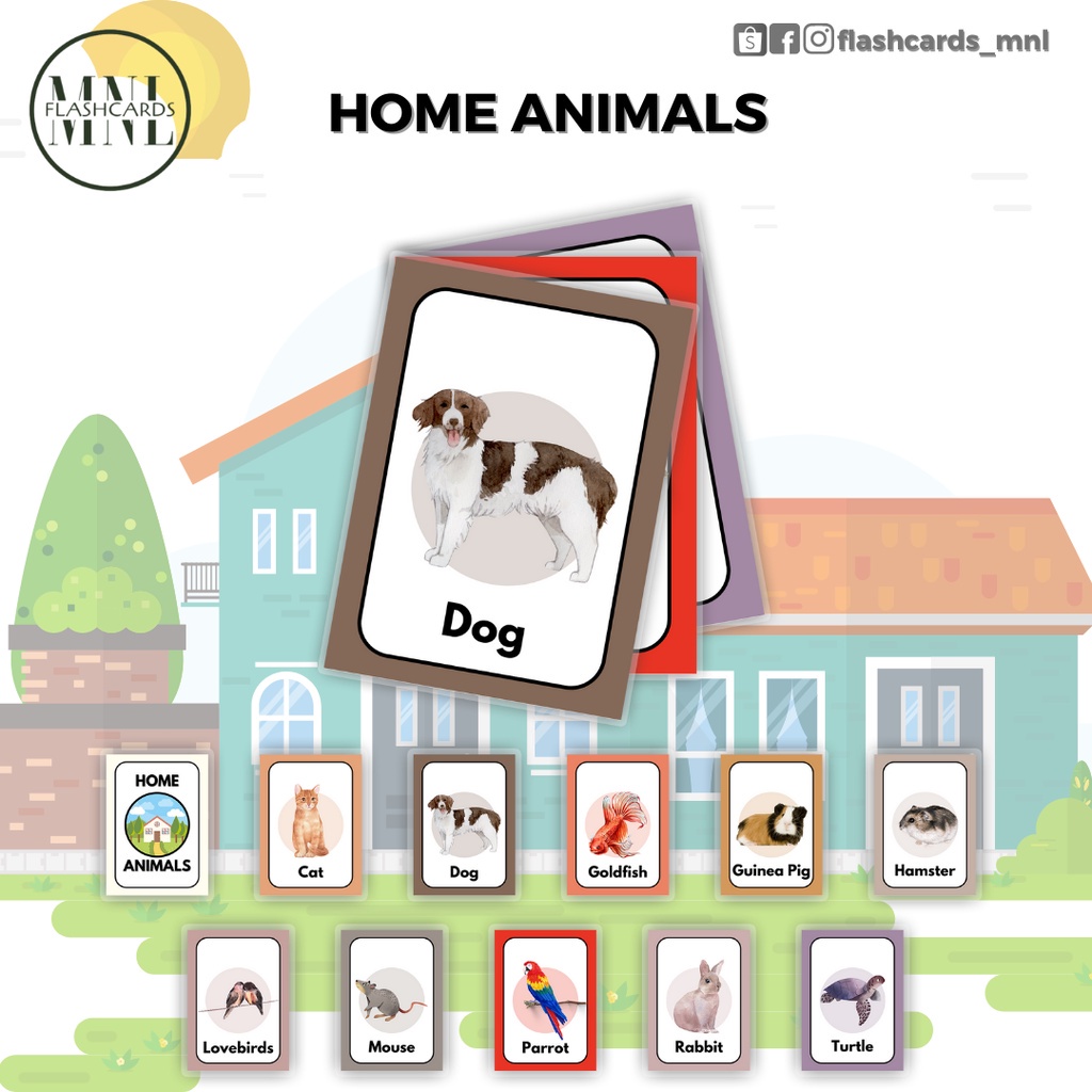 HOME ANIMALS FULLY LAMINATED EDUCATIONAL FLASHCARDS WITH OR WITHOUT ...