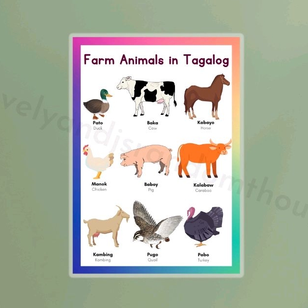 Laminated Charts Farm Animals Tagalog Educational Charts A4 size ...