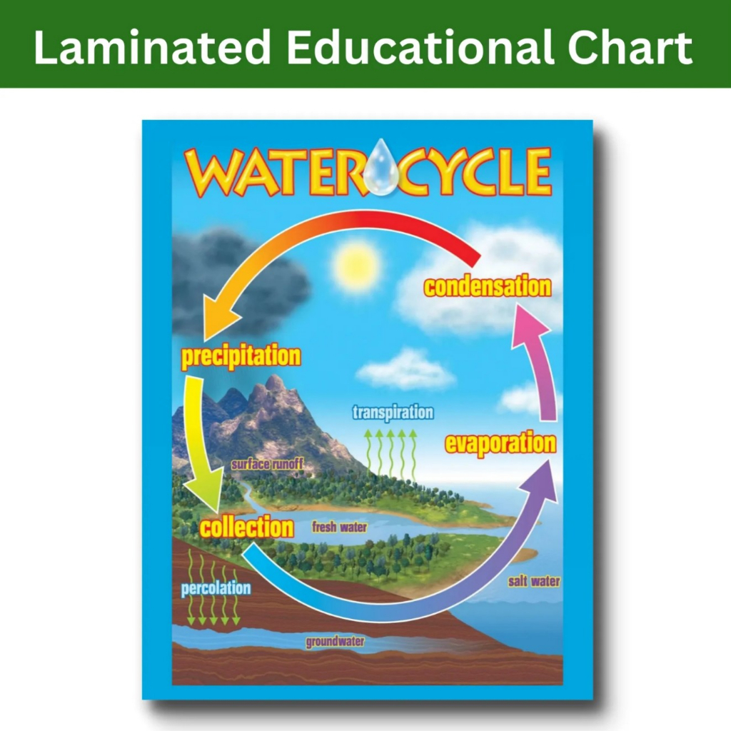 Laminated Water Cycle Chart, Science Charts, Educational Chart | Shopee ...