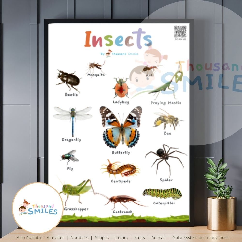 Insects Chart Laminated Wall Poster A4 size for Kids Educational ...