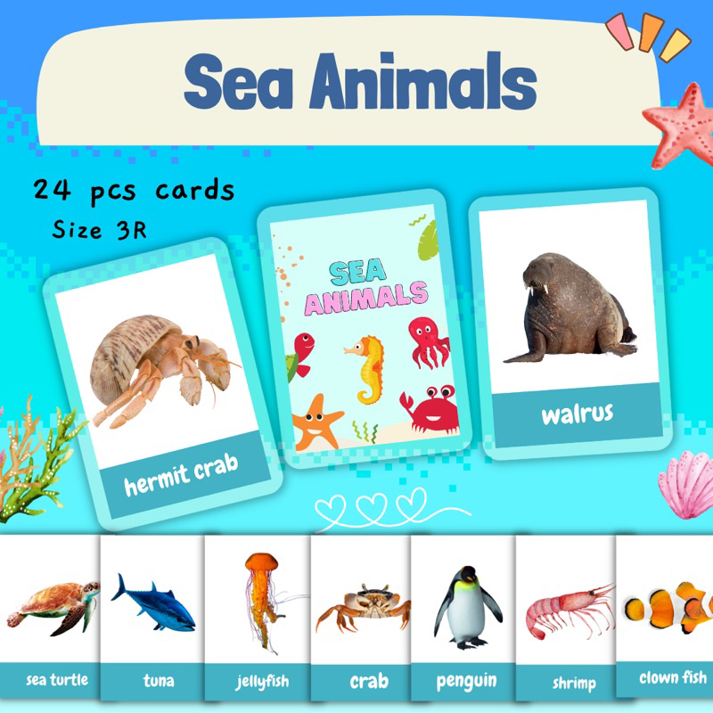 Wild animals insects farm animals sea animals educational flash cards ...