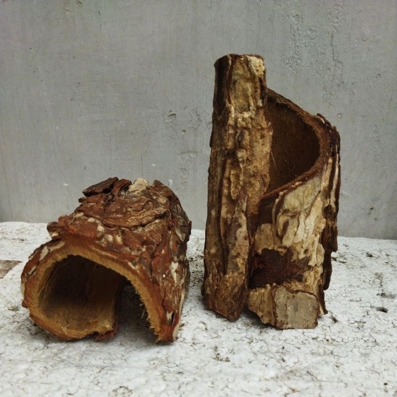 TARANTULA HIDES( NATURAL CORK BARK) For natural habitat | Shopee Singapore