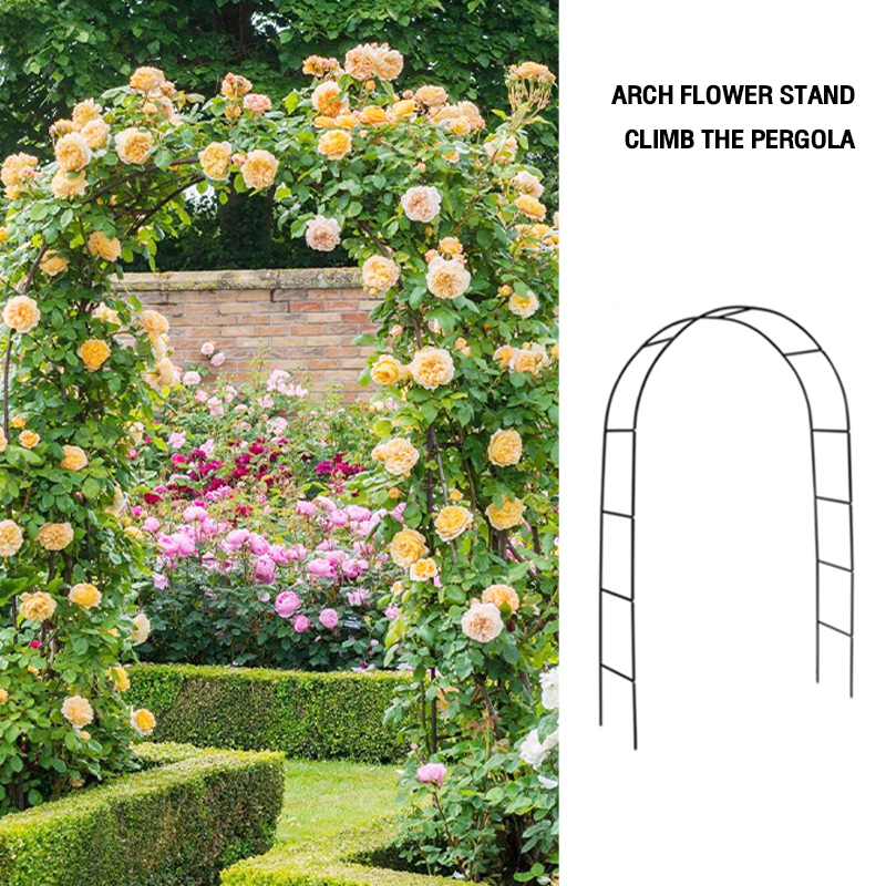 Arch arch flower trellis climbing pergola climbing plant stand grape ...