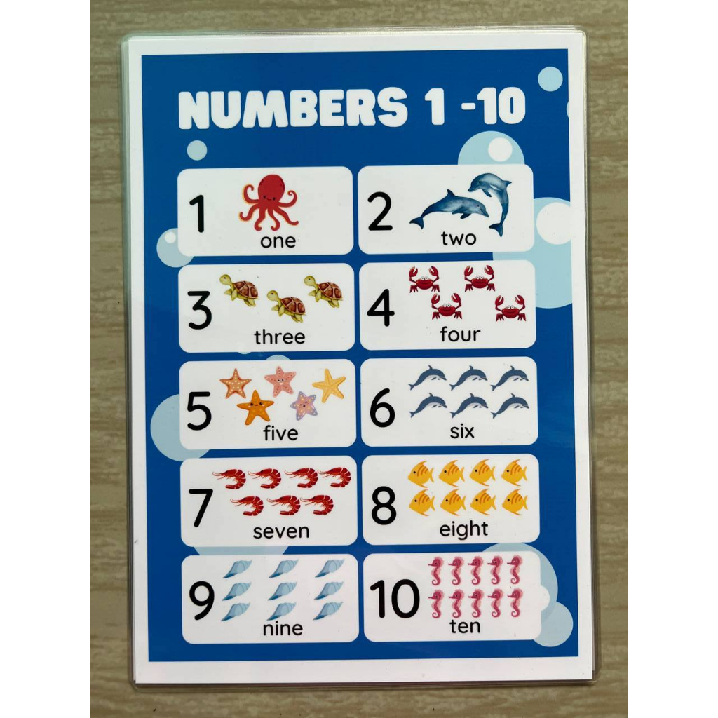 Learning materials and educational chart for kids Laminated A4 Size ...