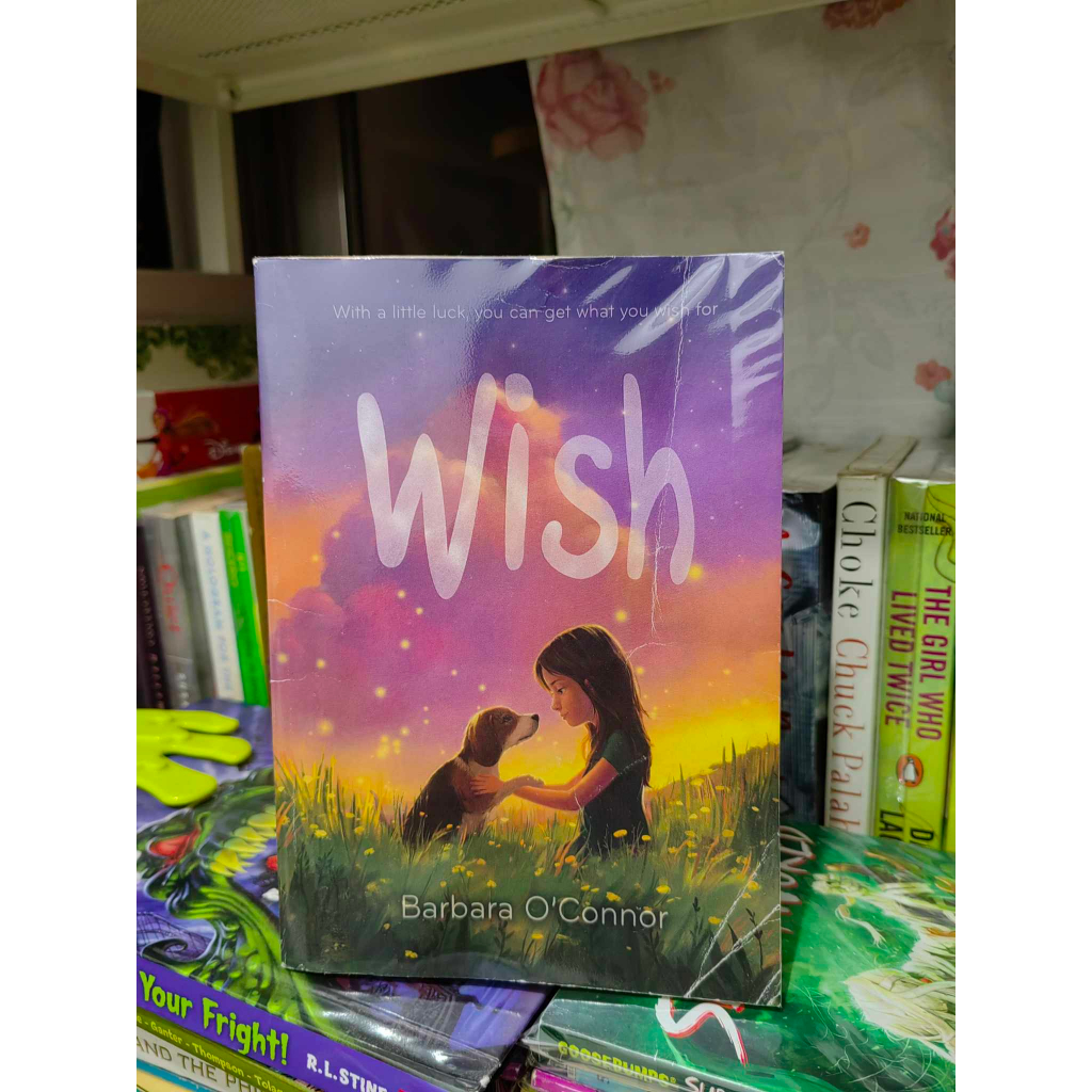Wish by Barbara O'Connor (pre loved / chapter book) | Shopee Singapore