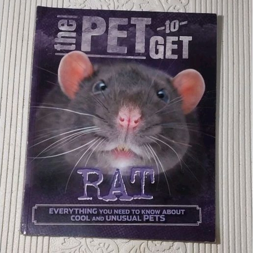 RAT: Everything You Need to Know About Cool and Unusual Pets (Unused ...