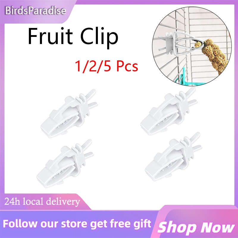 Parrot Fruit Vegetable Clips Bird Cage Food Holder for Budgie Parakeet ...