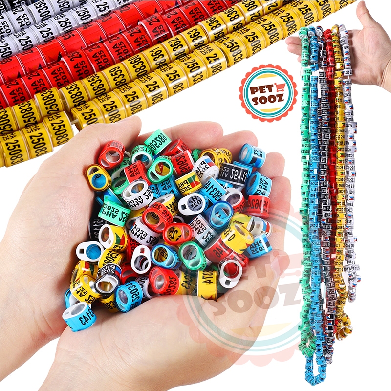 PHA Pigeon ring 2025 sing sing ng kalapati 2025 Oblong oval dove rings ...