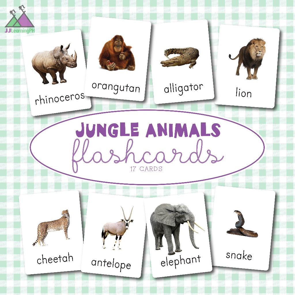 JUNGLE ANIMALS Flashcards for toddlers and kids | 3R size Laminated ...