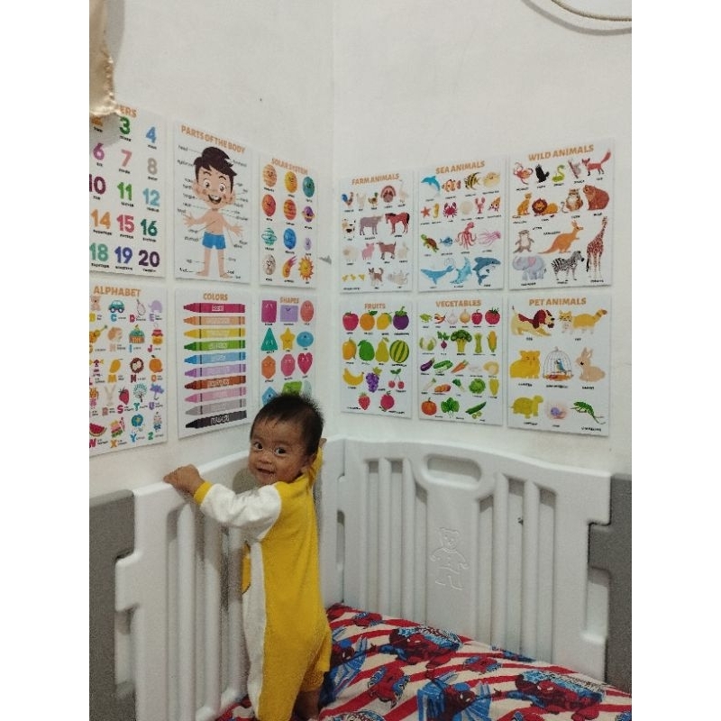 Kids Laminated Educational Wall Charts Minimalist | Shopee Singapore