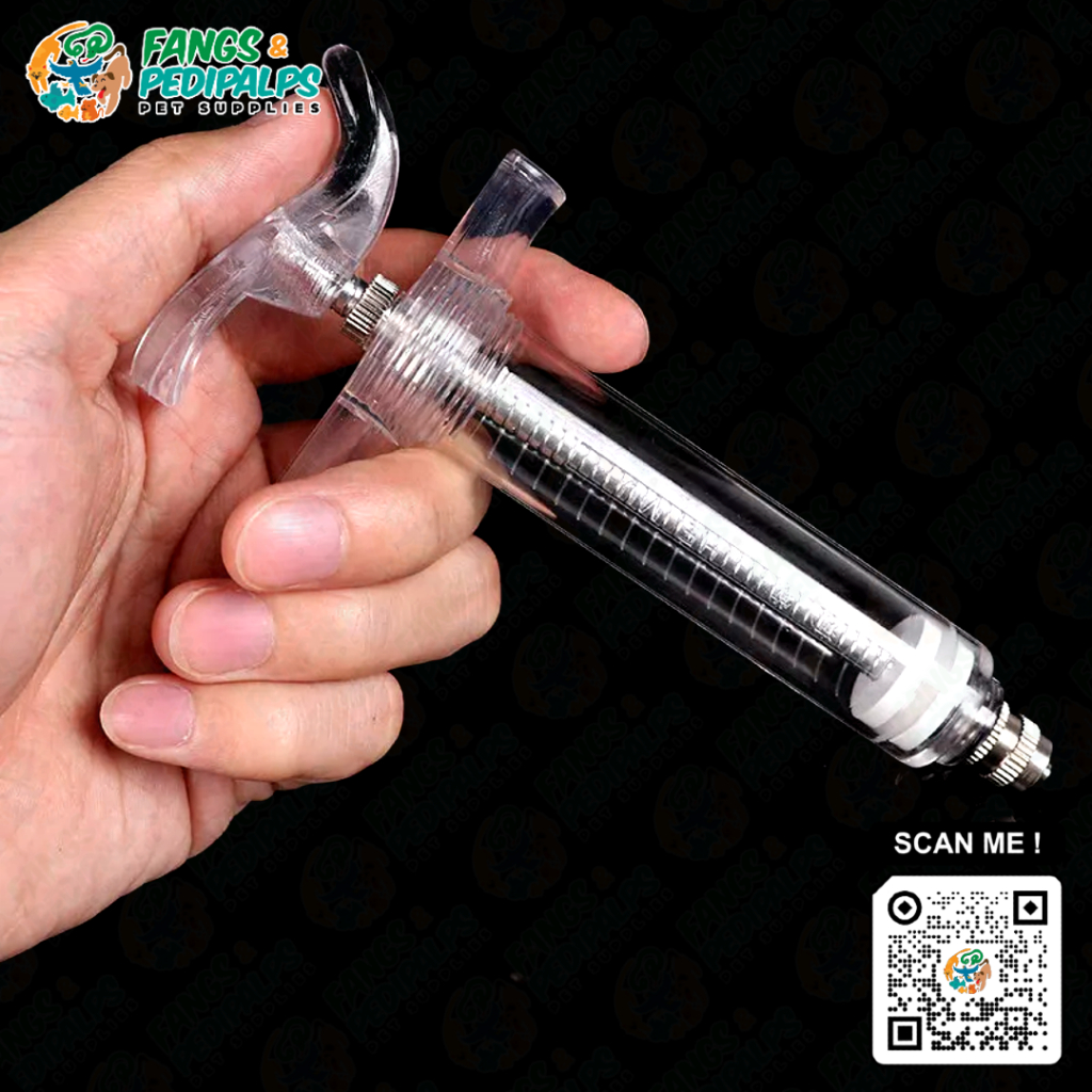 Bird Feeder Syringe with Tube | Hand Feeding Syringe | Stainless Feeder ...