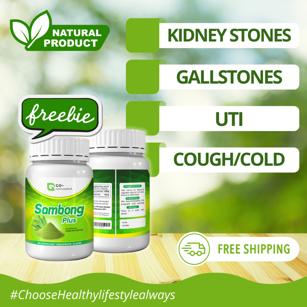 Healthy Lifestyle Sambong capsules for kidney stones,gallstones,UTI ...