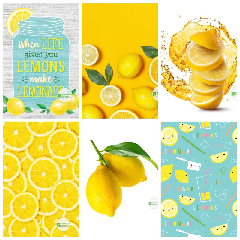 LEMON theme wall decor design A4 SIZE LAMINATED | Shopee Singapore