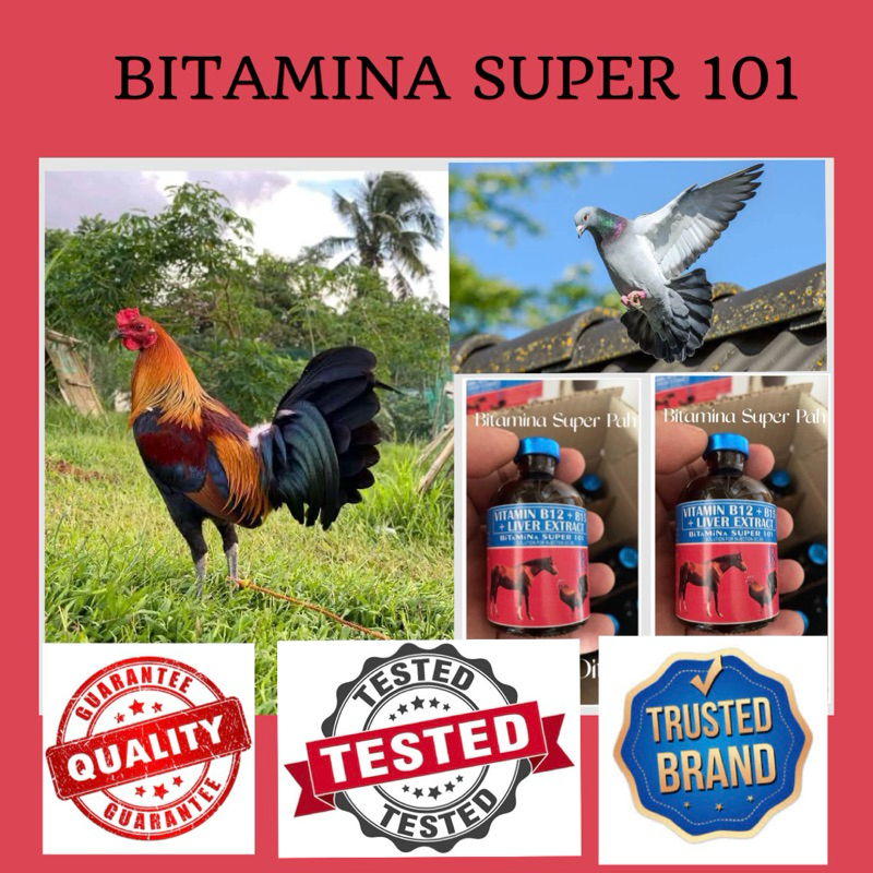 BITAMINA SUPER 101 ( Vitamin B12-1000mcg+ B15 + Liver Extract ) Panalo kah! New Packaging ...