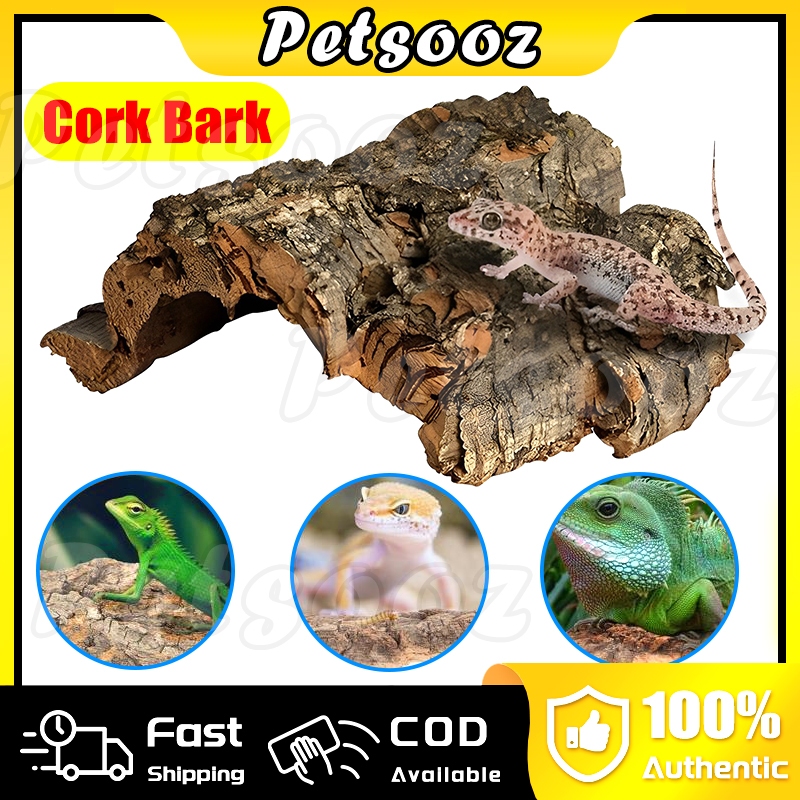 Natrual Wood Cork Bark for tarantula reptile hide cave | Shopee Singapore