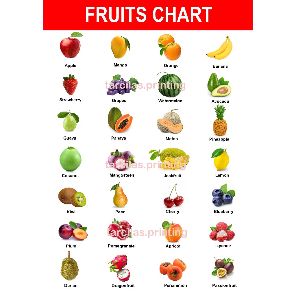 Fruits Chart A4 Laminated High Print Quality | Shopee Singapore