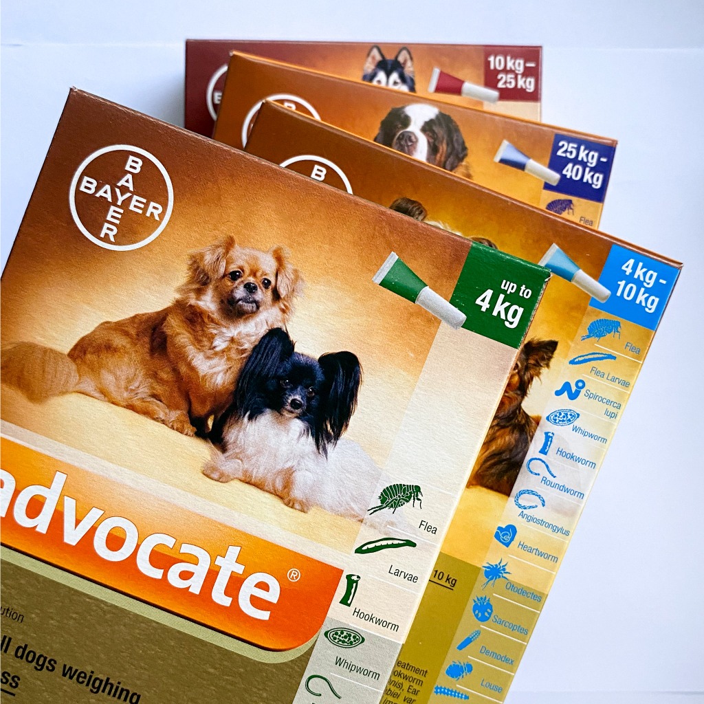 Advocate for Dogs Spot On Solution Anti-Tick and Flea Dewormer Small ...