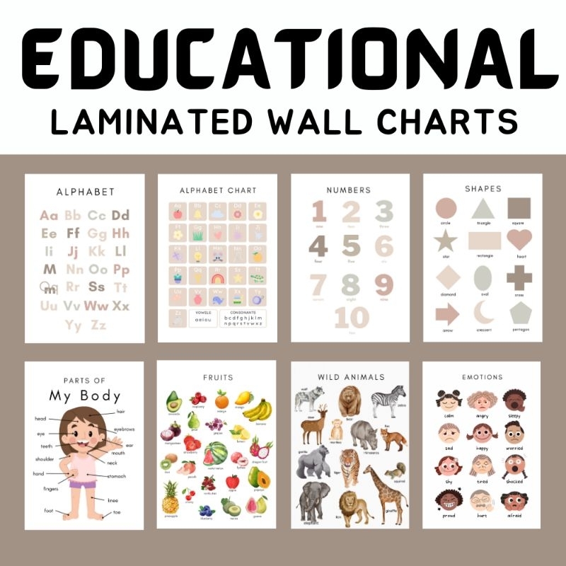 A4 Aesthetic Educational Laminated Charts for Kids and Toddlers ...