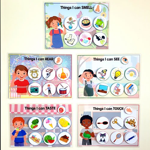 5 SENSES Interactive Activity Laminated Learning Material | Shopee ...
