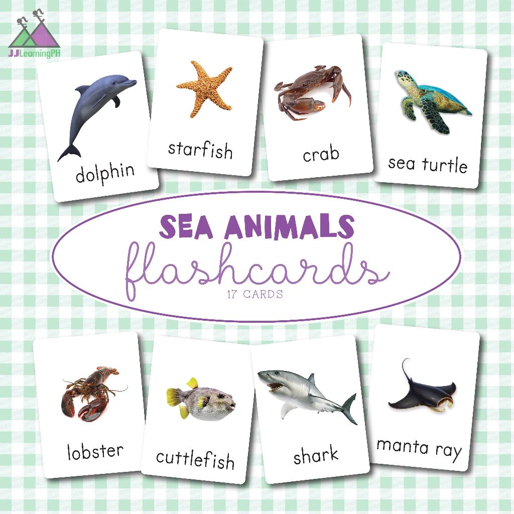 SEA ANIMALS Flashcards for toddlers and kids | 3R size Laminated ...