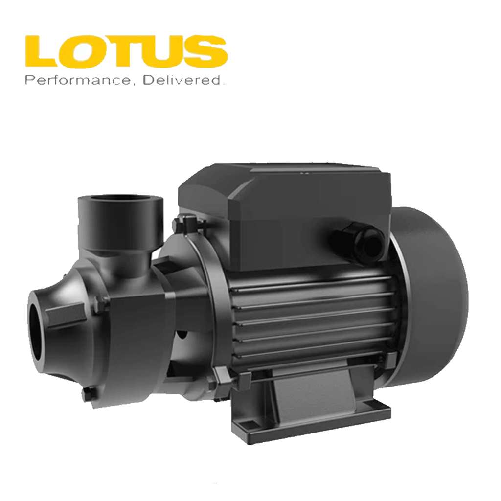 Lotus 0.5HP Booster Water Pump Electric Peripheral Clean Water Pump for ...