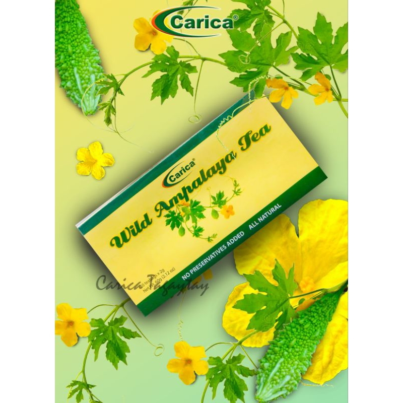 Carica WILD AMPALAYA TEA 60g (30 teabags) | Shopee Singapore