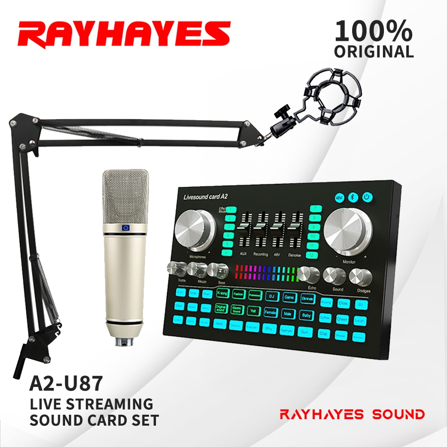 RAYHAYES Sound Card Mixer Amplifier Mic Set 4 Channel Bluetooth USB For ...