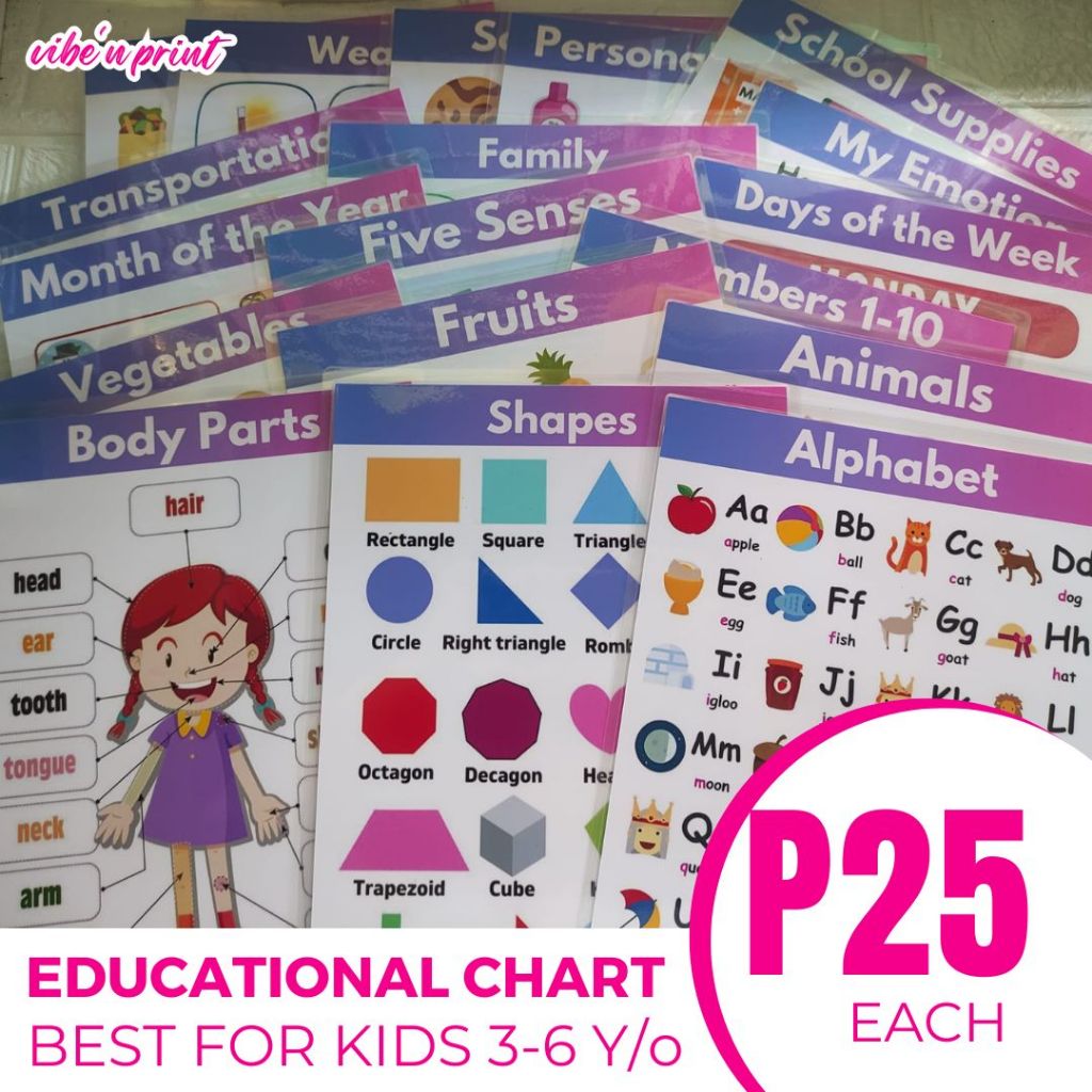 VNP Laminated Educational Wall Charts for Kids A4 Size | Shopee Singapore