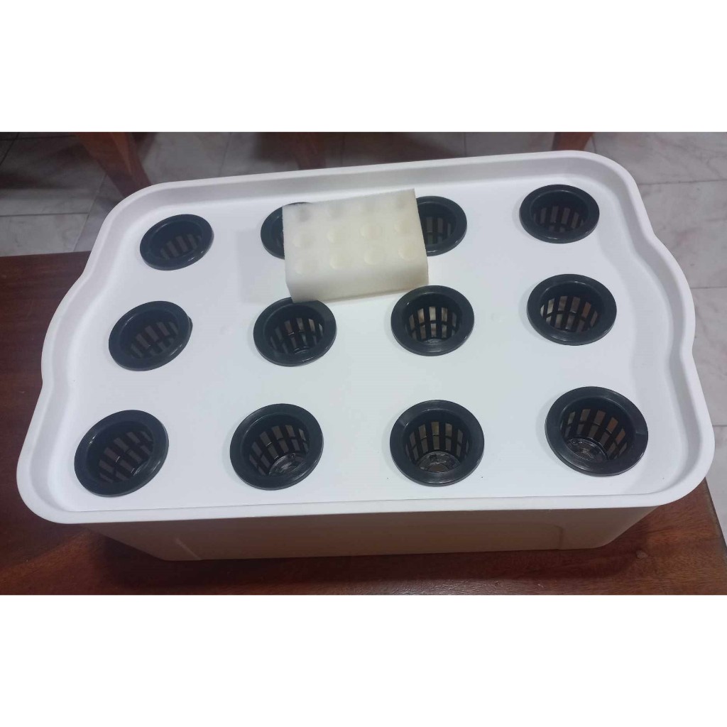Free Horti Foam -Plant Box with Net pots / Grow Box / Hydroponics ...
