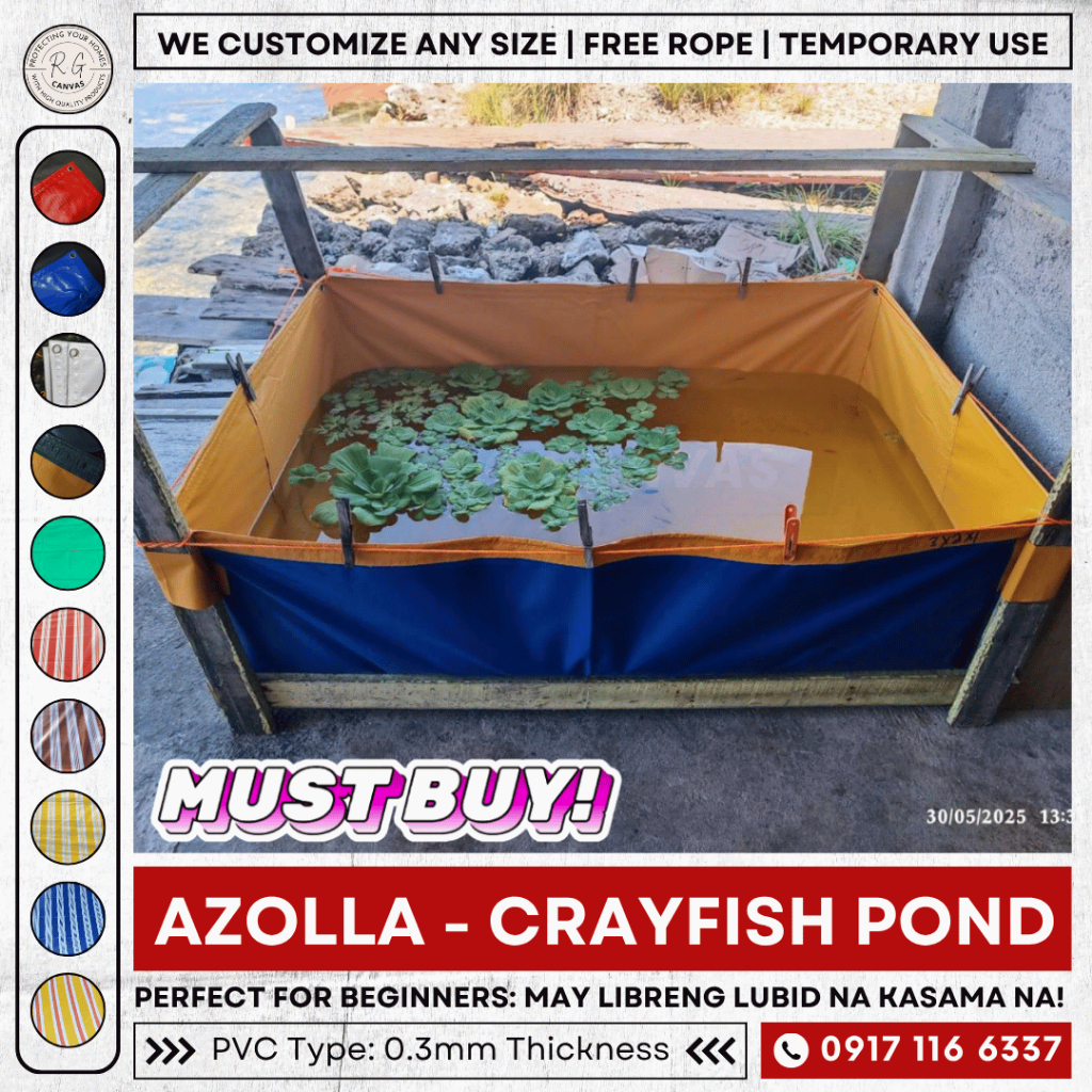 PVC TYPE AZOLLA BED AZOLLA POND FISH TANK CRAYFISH KOI FISH AZOLLA ...