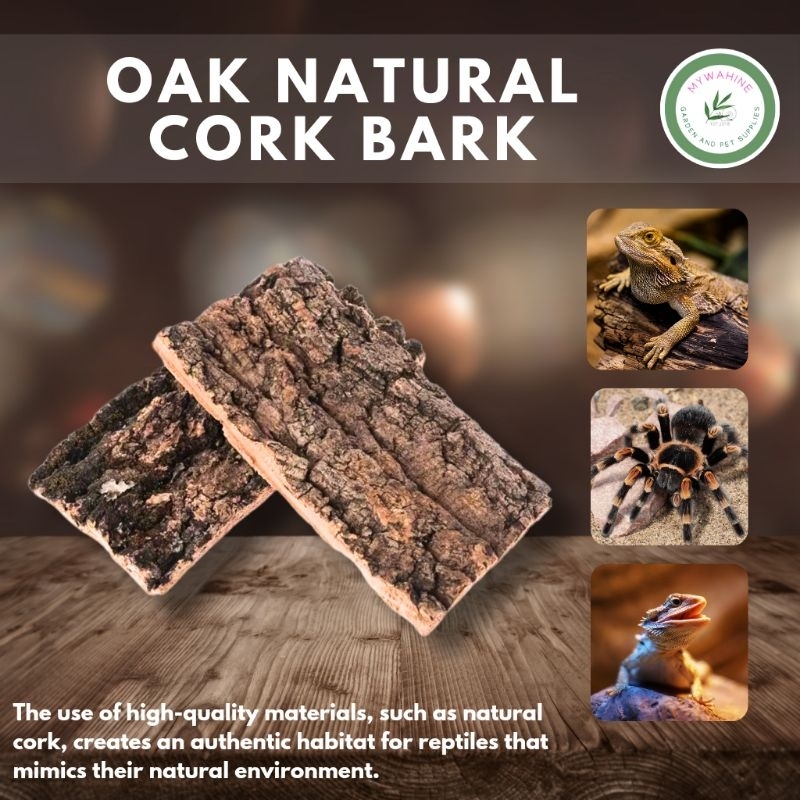 OAK NATURAL CORK BARK REPTILE TERRARIUMS HABITAT DESIGN LANDSCAPE ...