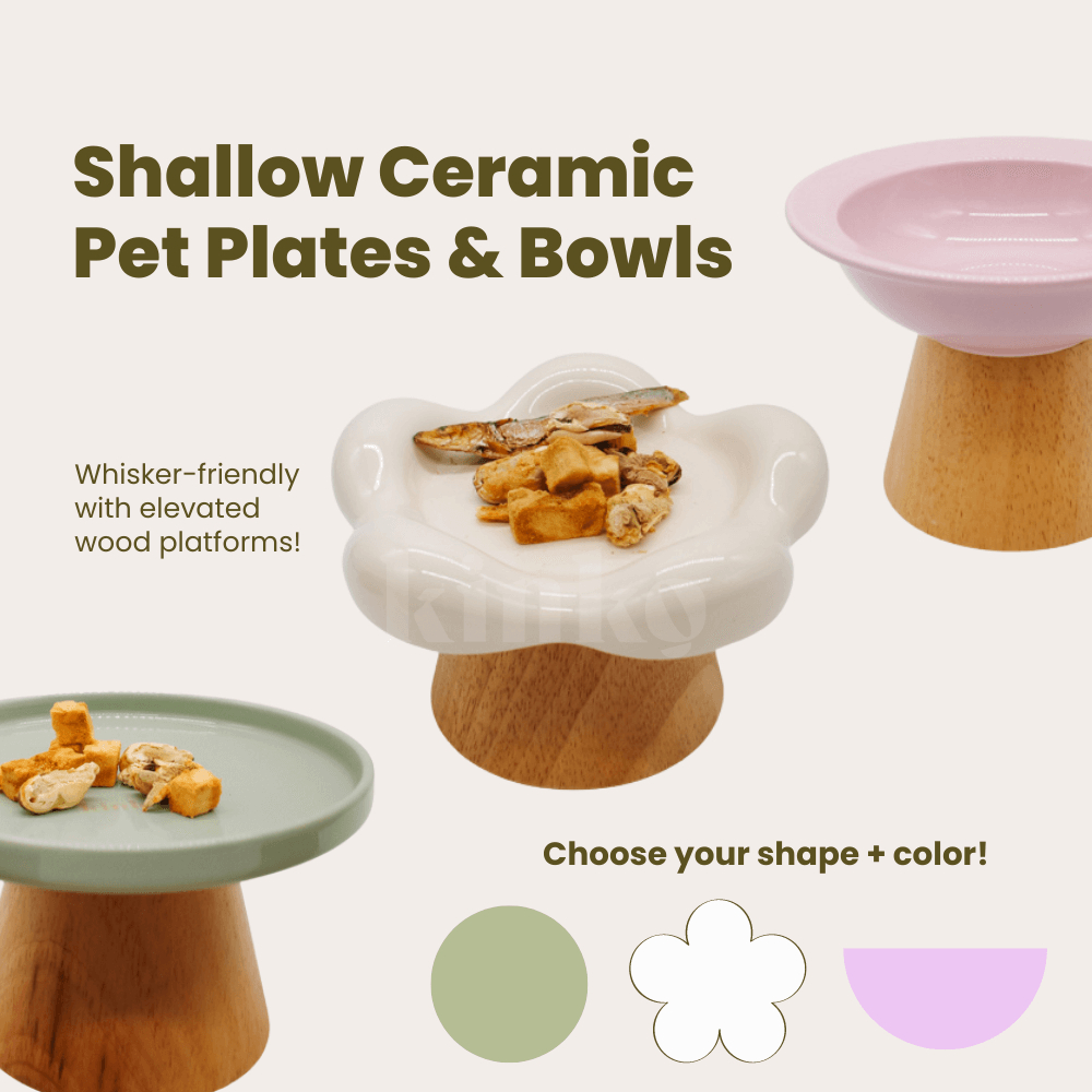 Shallow Ceramic Pet Plates & Bowls (Cats, Dogs, Bunnies) | Shopee Singapore