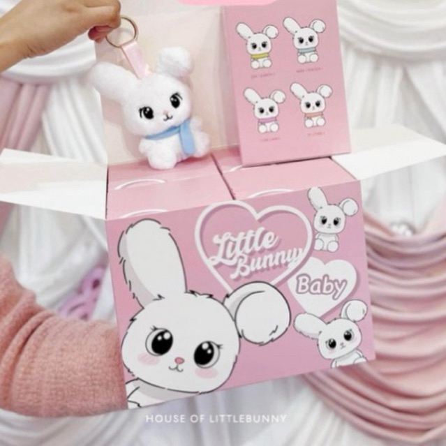 House of Little Bunny Blind Box | Shopee Singapore