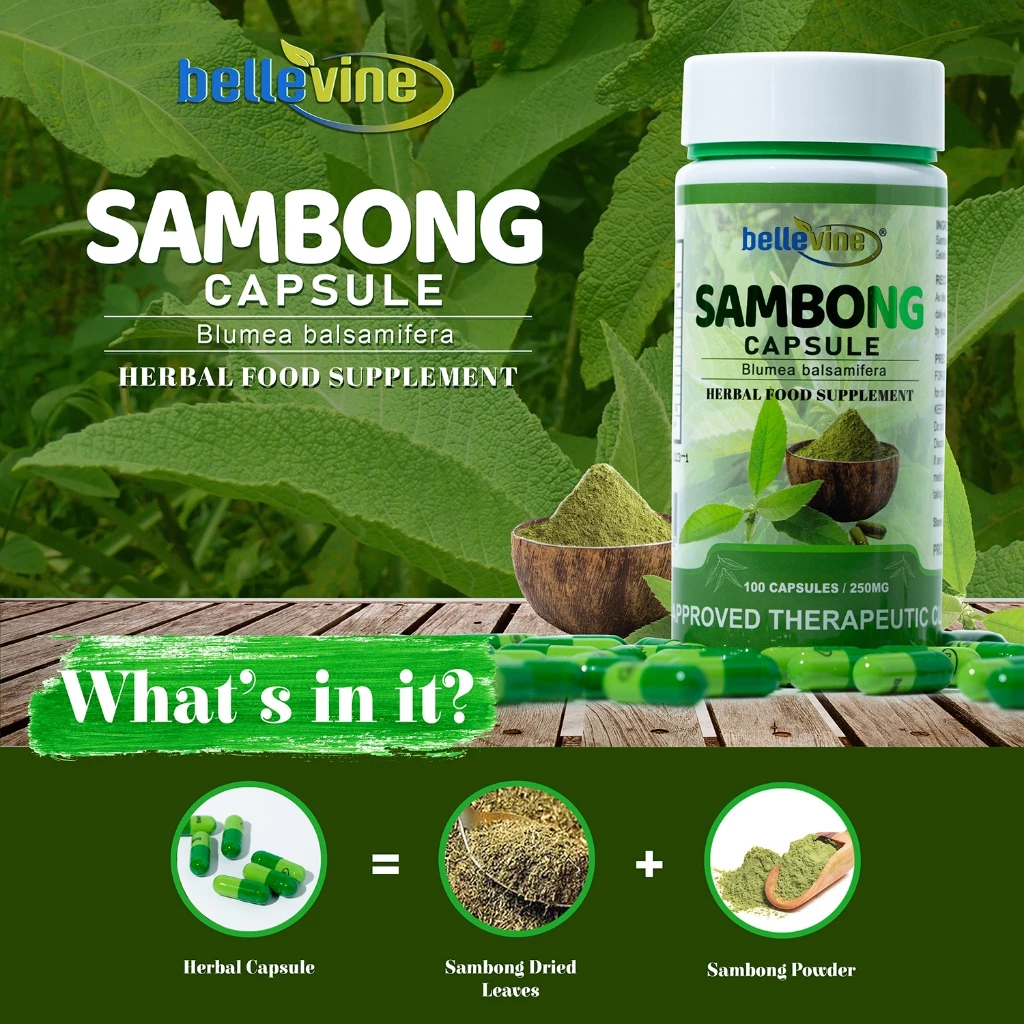 Sambong Herbal Supplement 100 Capsules/Bottle | Shopee Singapore