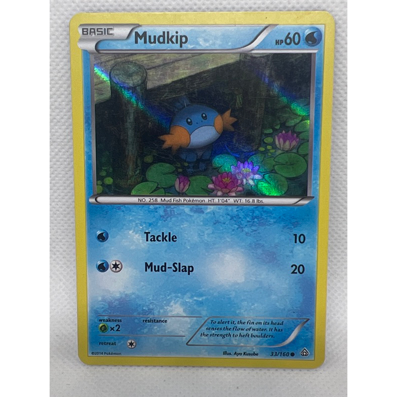 Mudkip - 33/160 - Holo Pokemon Cards - Pokemon TCG | Shopee Singapore