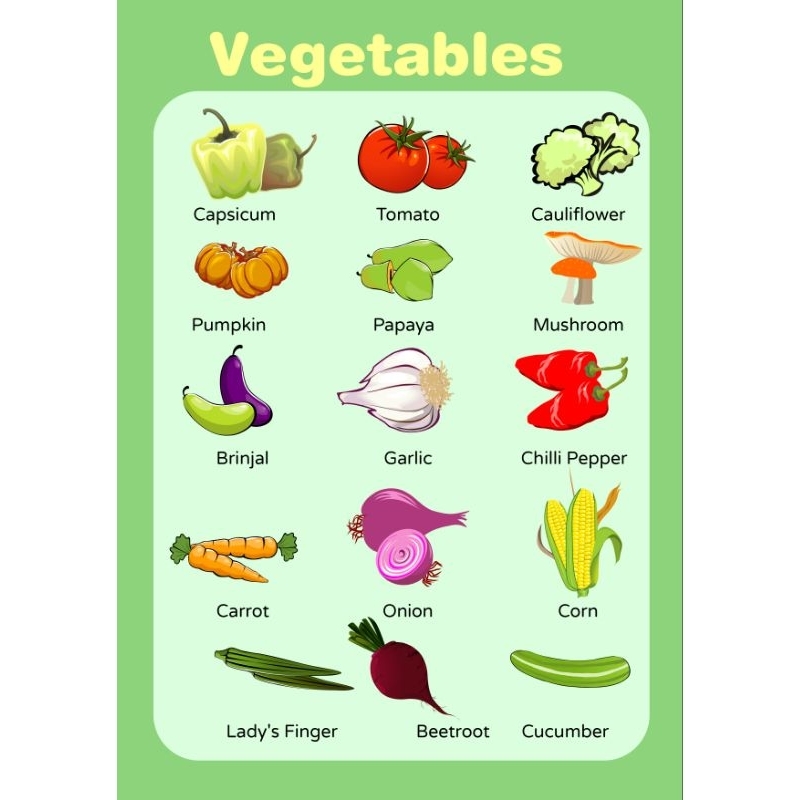 LAMINATED EDUCATIONAL FRUITS, VEGETABLES WALL CHARTS A4 size | Shopee ...