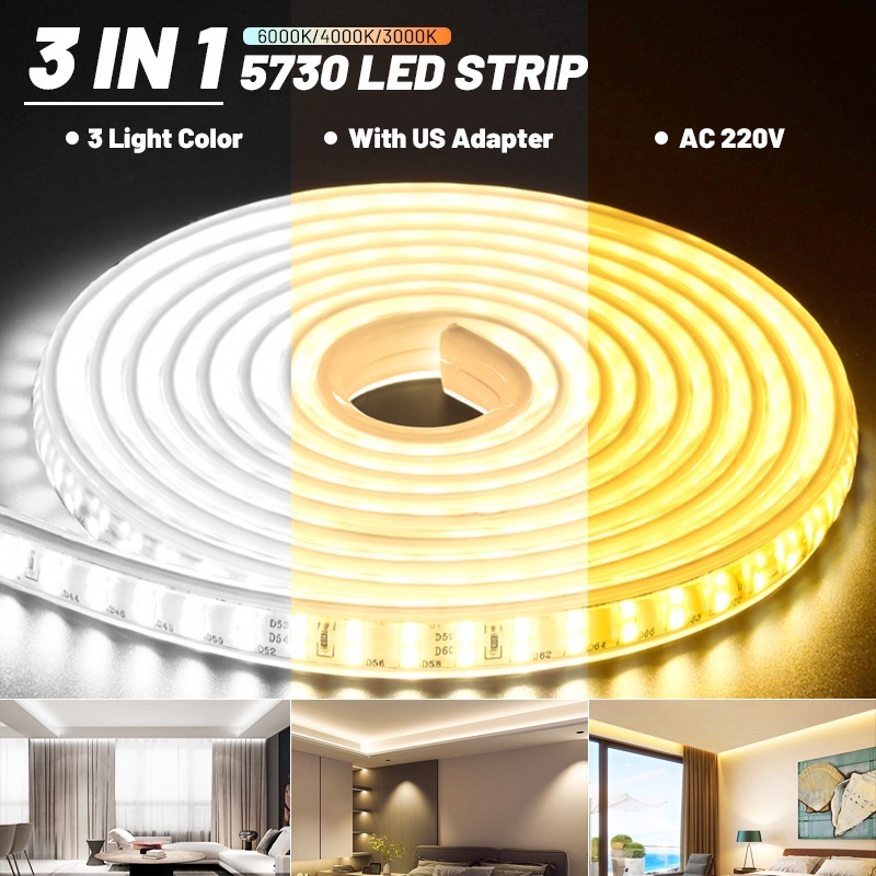 LED Strip Light Flexible Light With Plug 220V White Warm RGB Waterproof ...