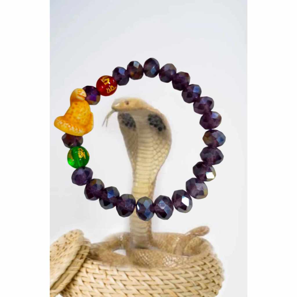 2025 Year of the Snake and Lucky Color Future Dust Crystal with mantra ...