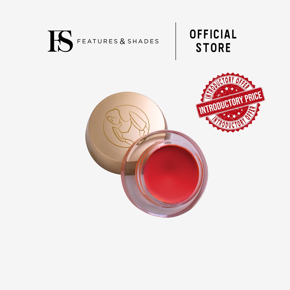 FS Features & Shades Cheek Mousse IMPROVED SPREADABLE FORMULATION with ...