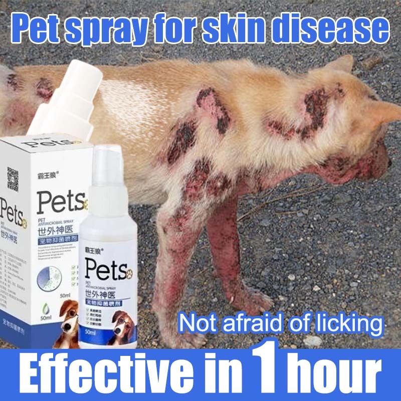 Dog Spray For Skin Disease Pet Skin Treatment Spray Dog Skin Disease ...