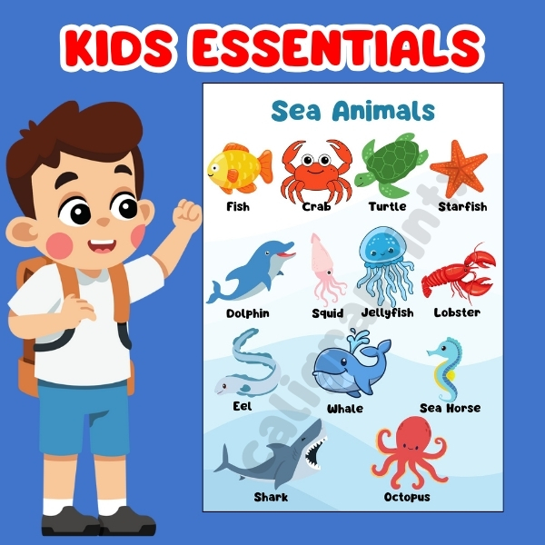 SEA ANIMALS| Educational Laminated Chart A4 Size | Shopee Singapore