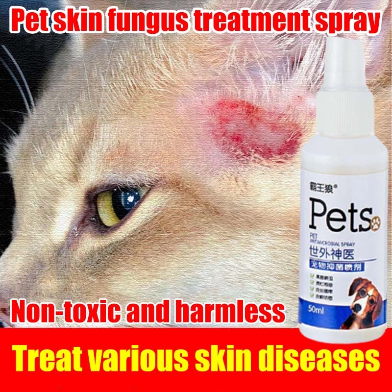 Pet skin fungus treatment spray Dog spray for skin disease Pet skin ...