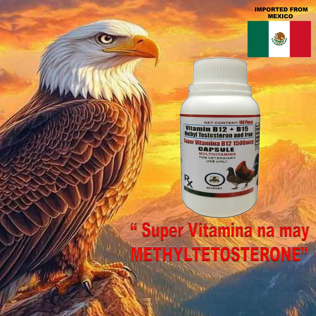 SUPER VITAMINA B12 1500MCG (100 PIECES) | Shopee Singapore