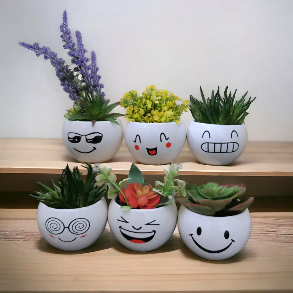 Emoji Face Mini Succulent Pots, Ceramic Succulent Planter and Cactus ...