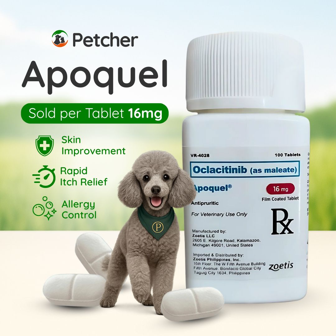 Apoquel 16mg per Tablet Anti Itching and Allergy Dog Medicine for Skin ...